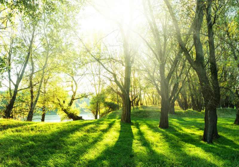 About Us - Company Information | Graebel Relocation