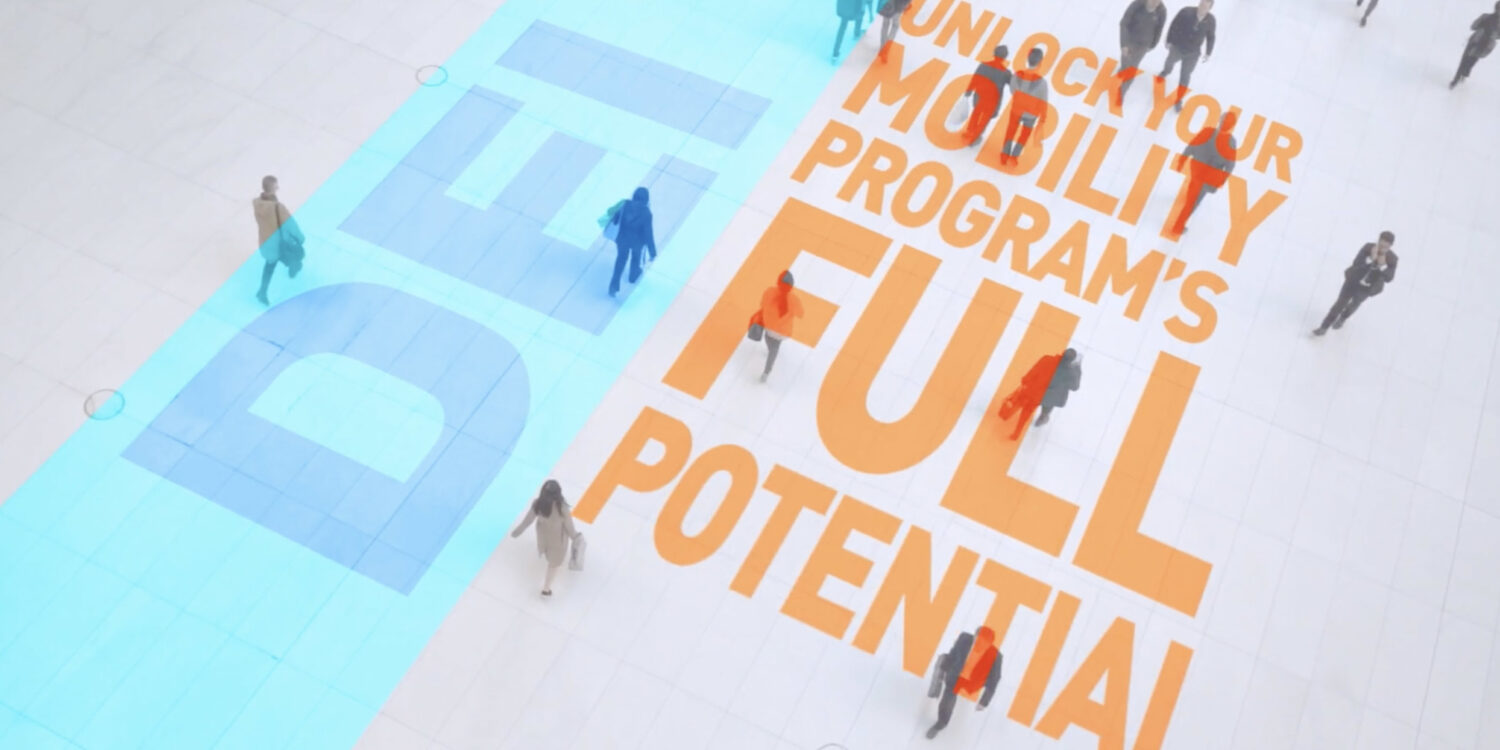 DEI Consulting Services -Graebel Relocation